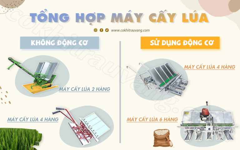 Máy Cấy Lúa Văn Lang Giá Bao Nhiêu? Có Ưu Điểm Gì? Máy chế biến thực ...